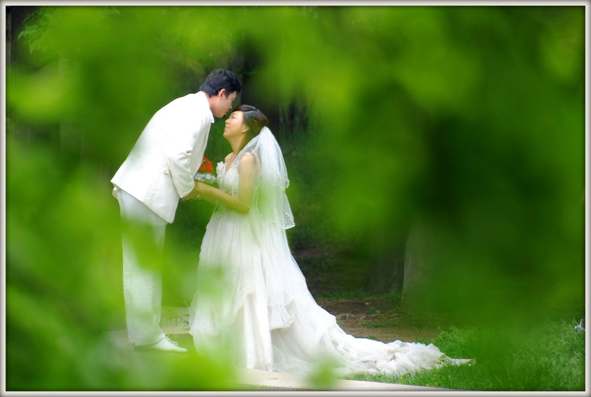 Green Wedding | GANREF