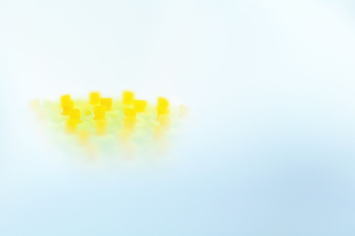 White Lotus | GANREF