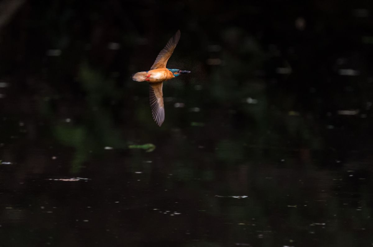 Moment of the turn | GANREF