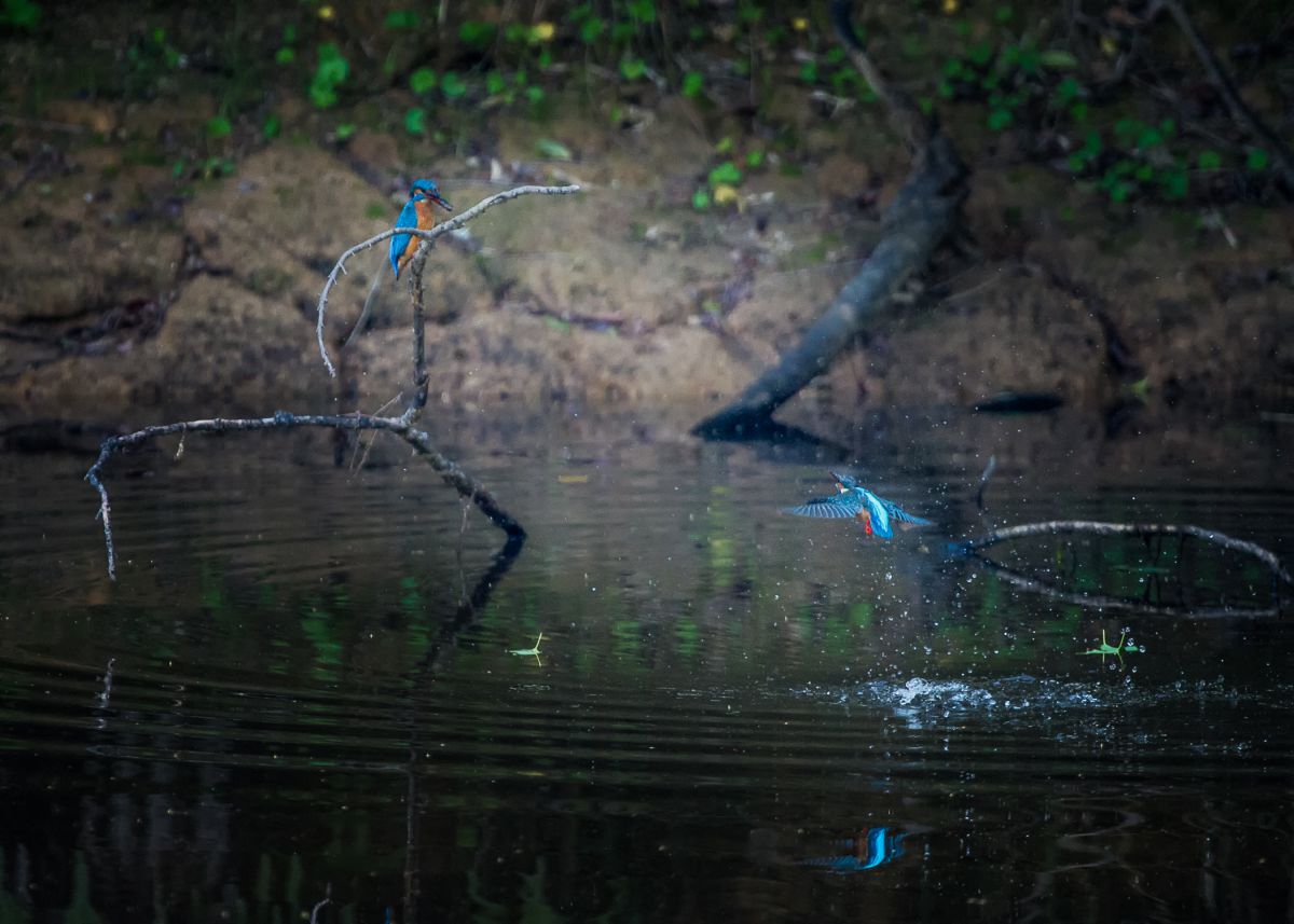 eye contact | GANREF