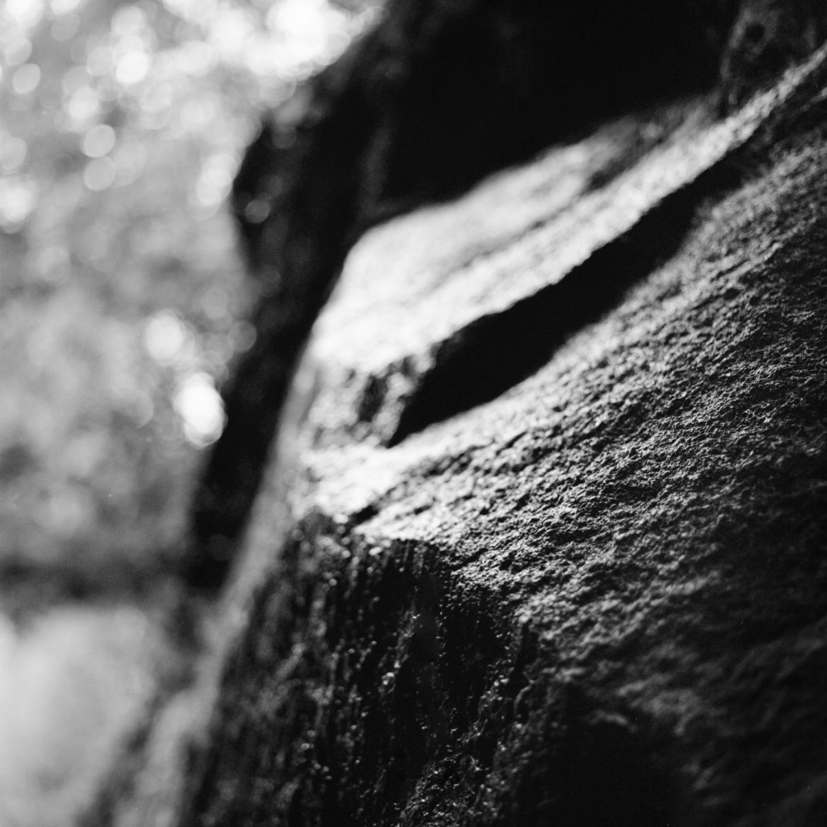 rock surface | GANREF