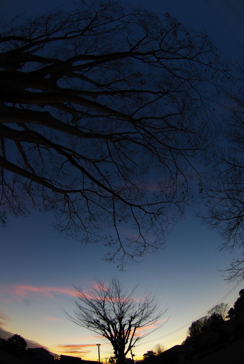 Nightmare or Dawn ? | GANREF