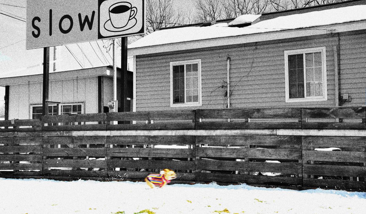 # Slow or Fast ? | GANREF