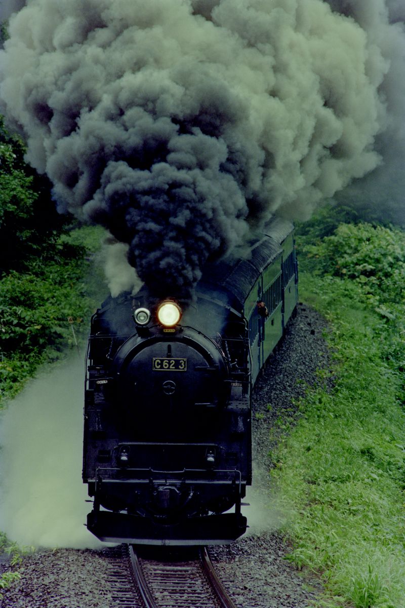 よみがえる青春36 | GANREF