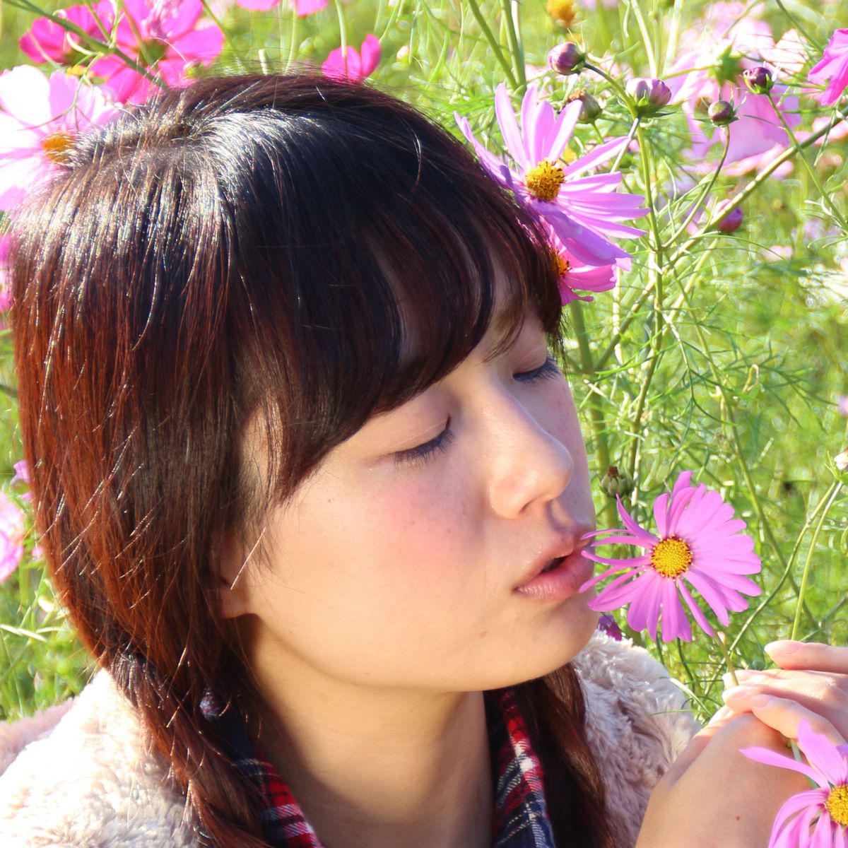 「Delight Slight Light KISS」 | GANREF