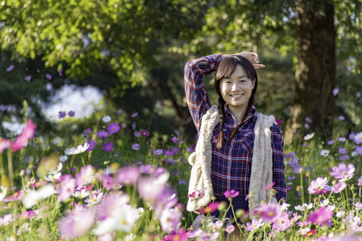 「an autumn sunday with cosmos」 | GANREF