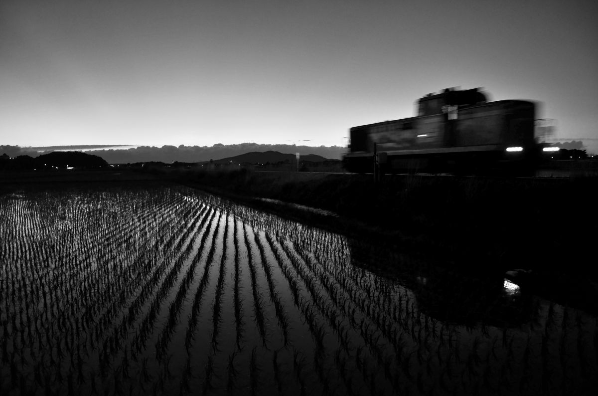 おうちに帰るDE10 | GANREF