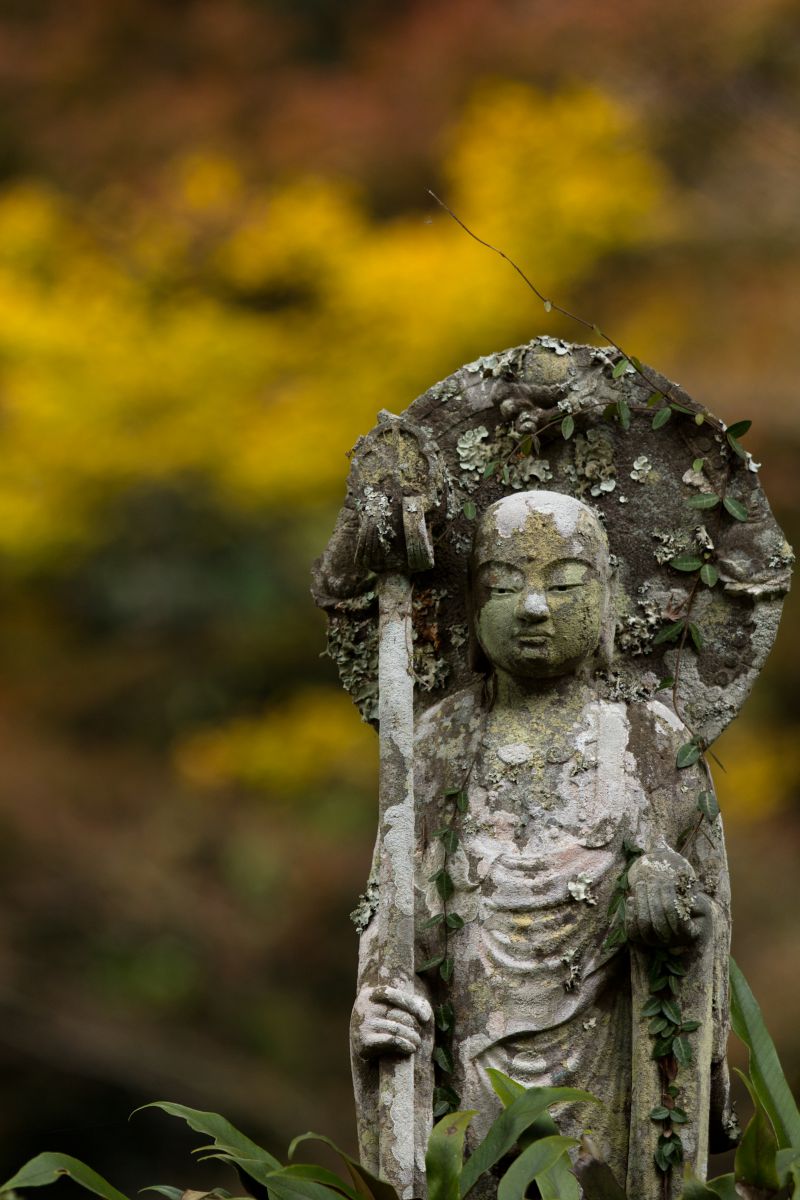 秋を背に | GANREF