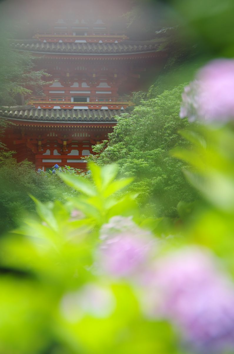 雨上がり | GANREF