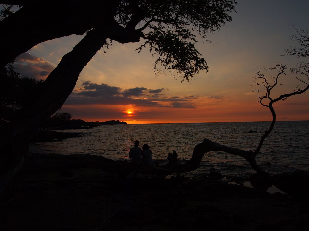 Looking together in the same direction | GANREF