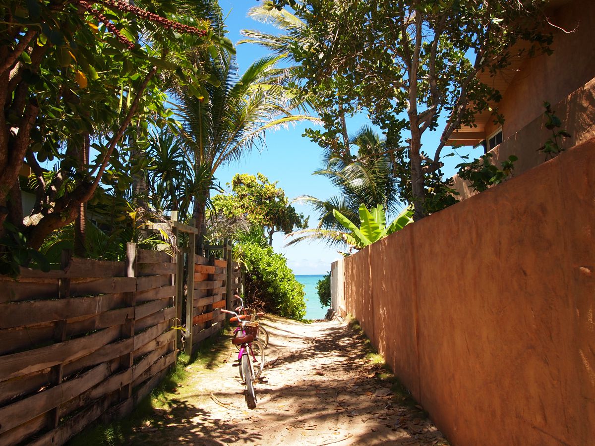 Path to Lani | GANREF