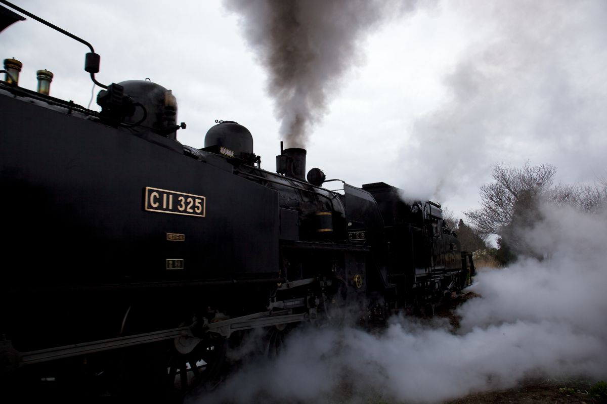 C12 66 ＋ C11 325 | GANREF