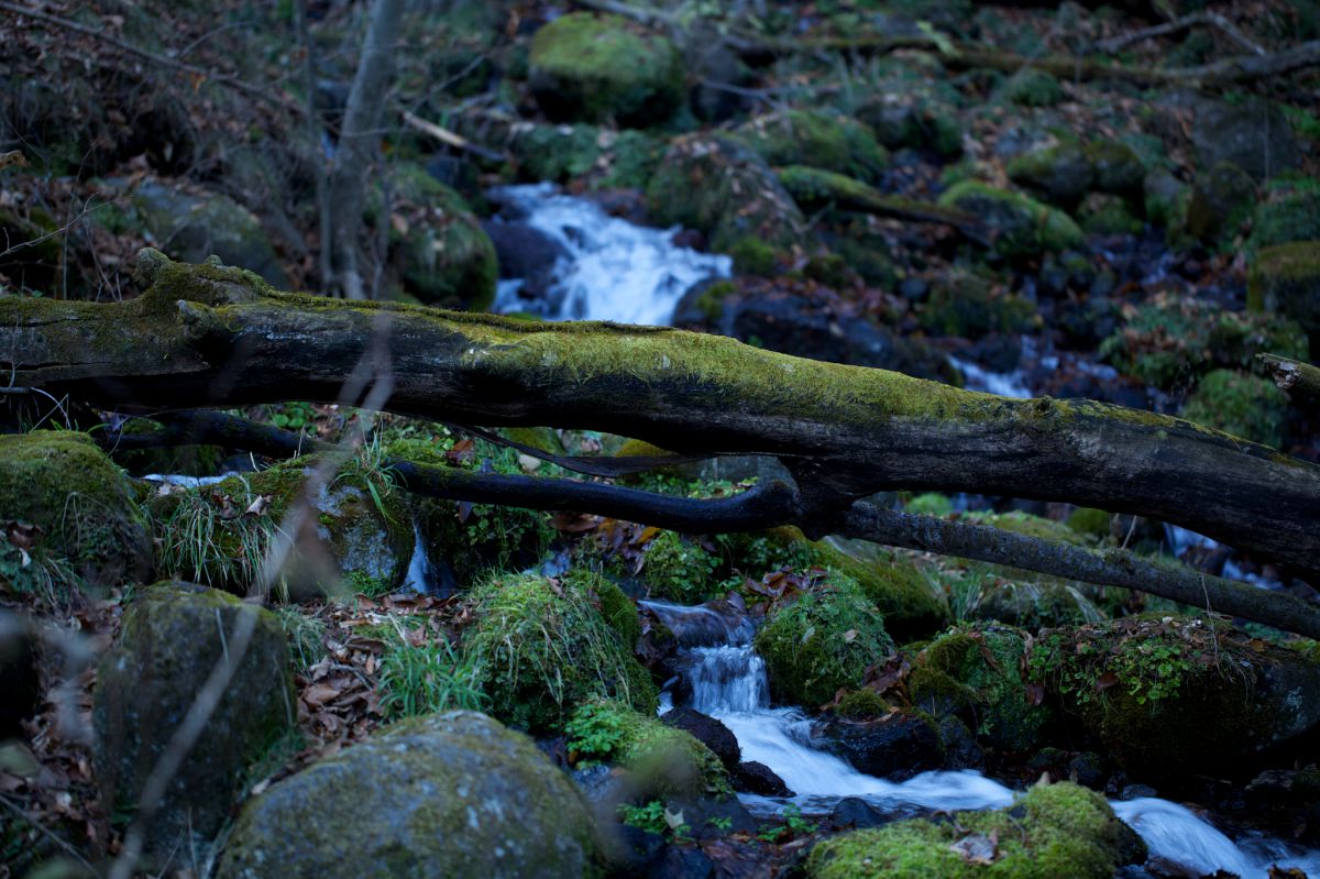 Eternal ～2009師走～ | GANREF