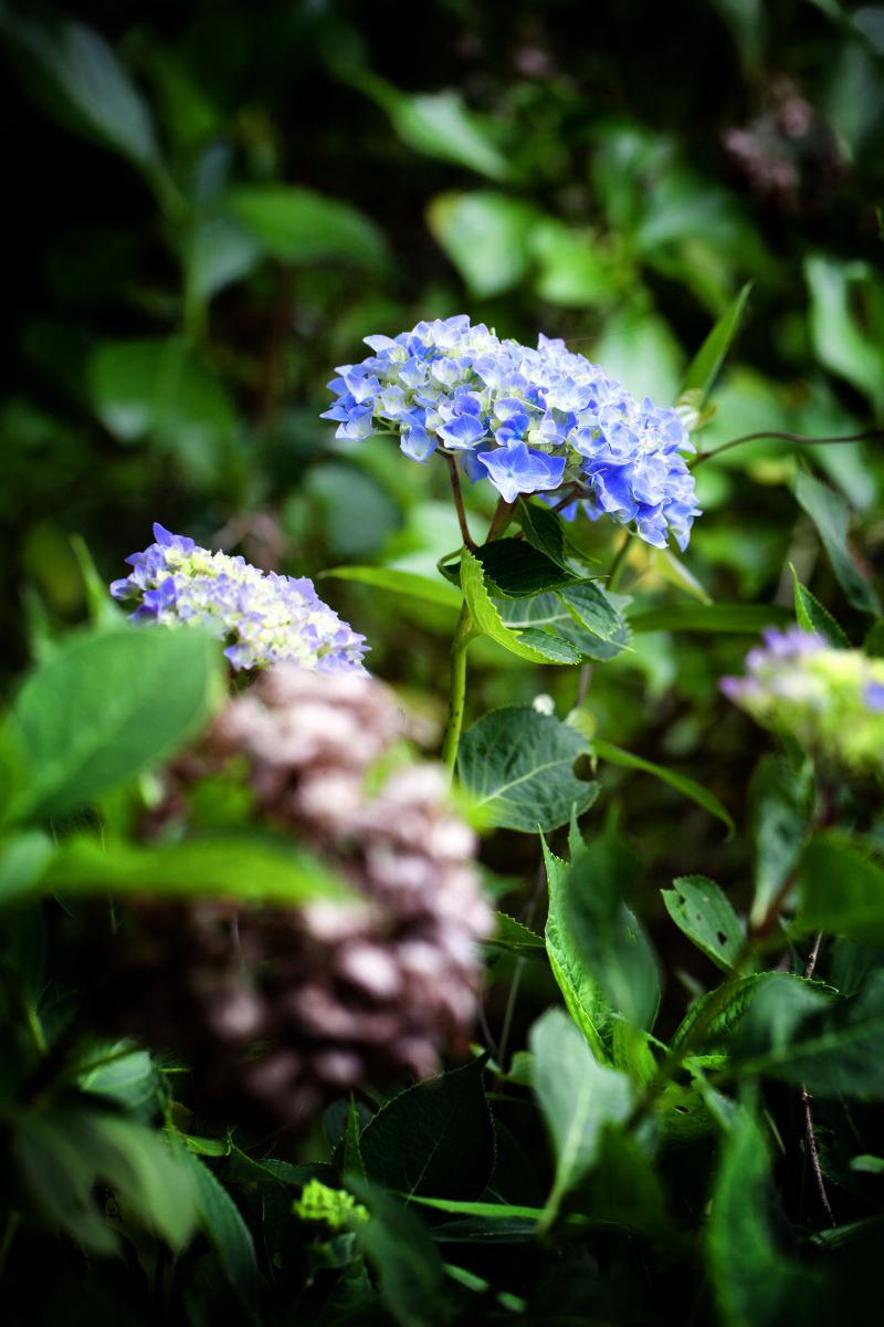 A present existence. | GANREF