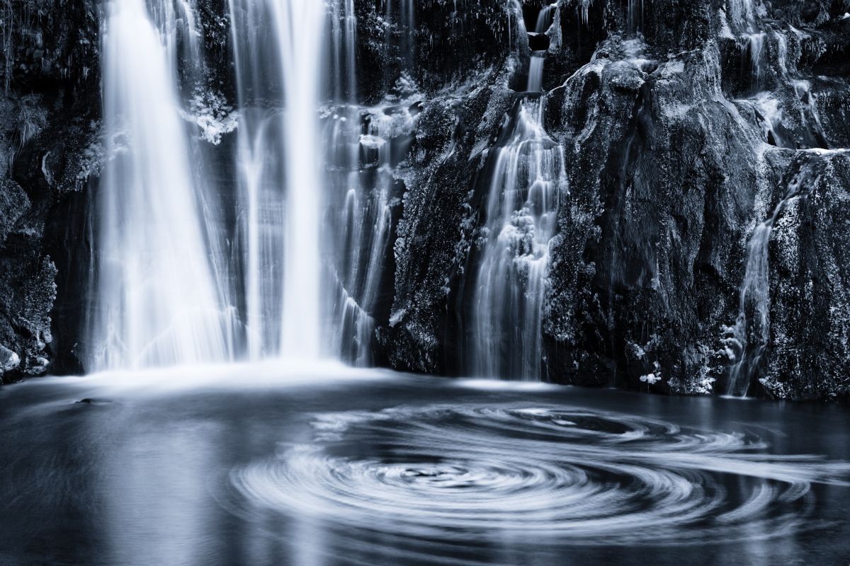 VORTEX -monochrome- | GANREF