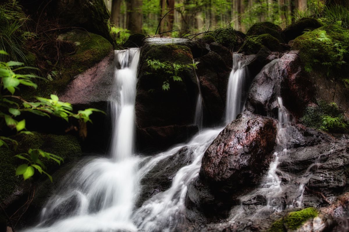 小滝 -CLOSE UP- | GANREF