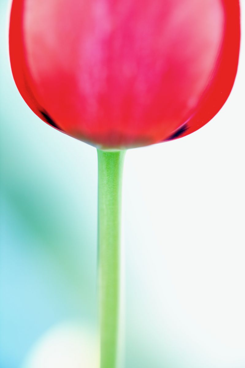 The world that Arrietty sees -IV | GANREF