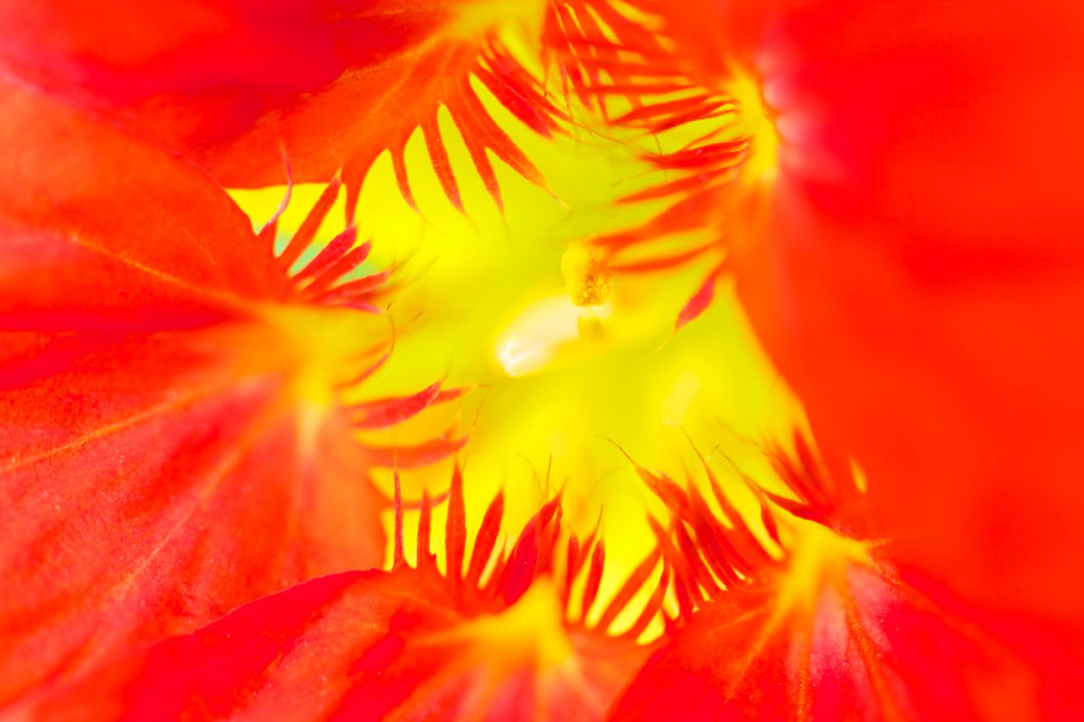 The world that Arrietty sees -III | GANREF