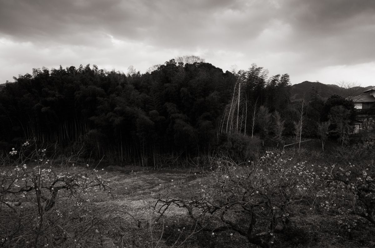 まほろば2 | GANREF