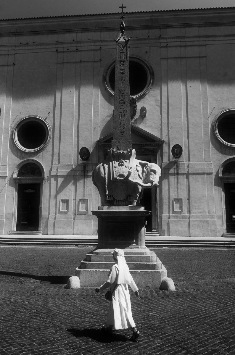 Elephant & Nun | GANREF