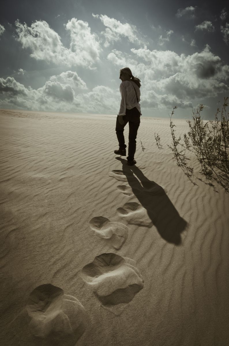 My way - Low Color Saturation Version | GANREF