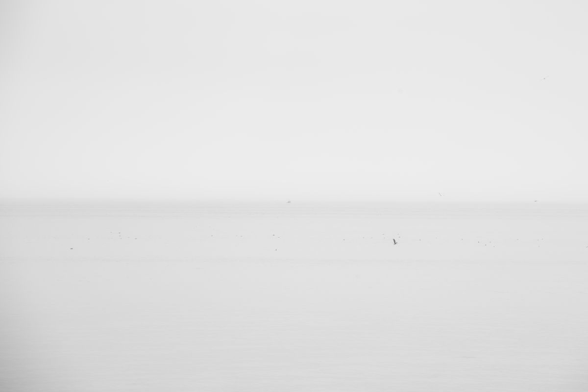 Sea Tunes - White noise - | GANREF