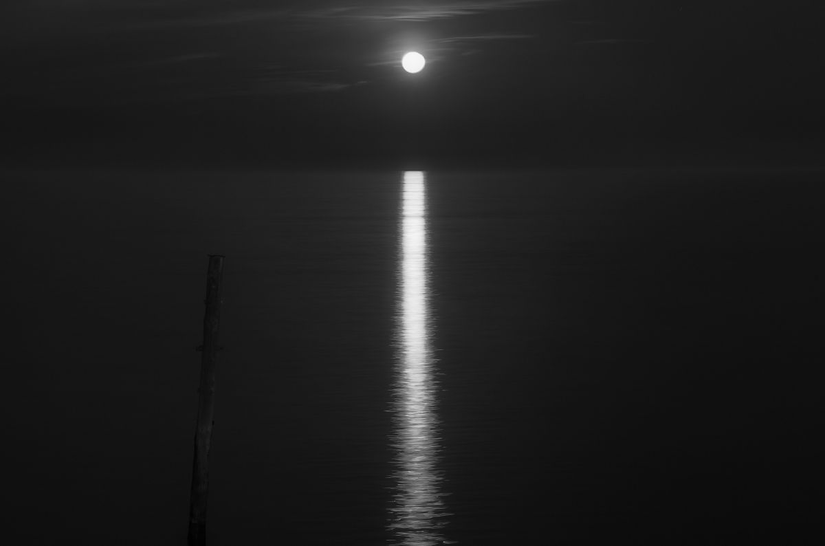 Moonlight Serenade | GANREF