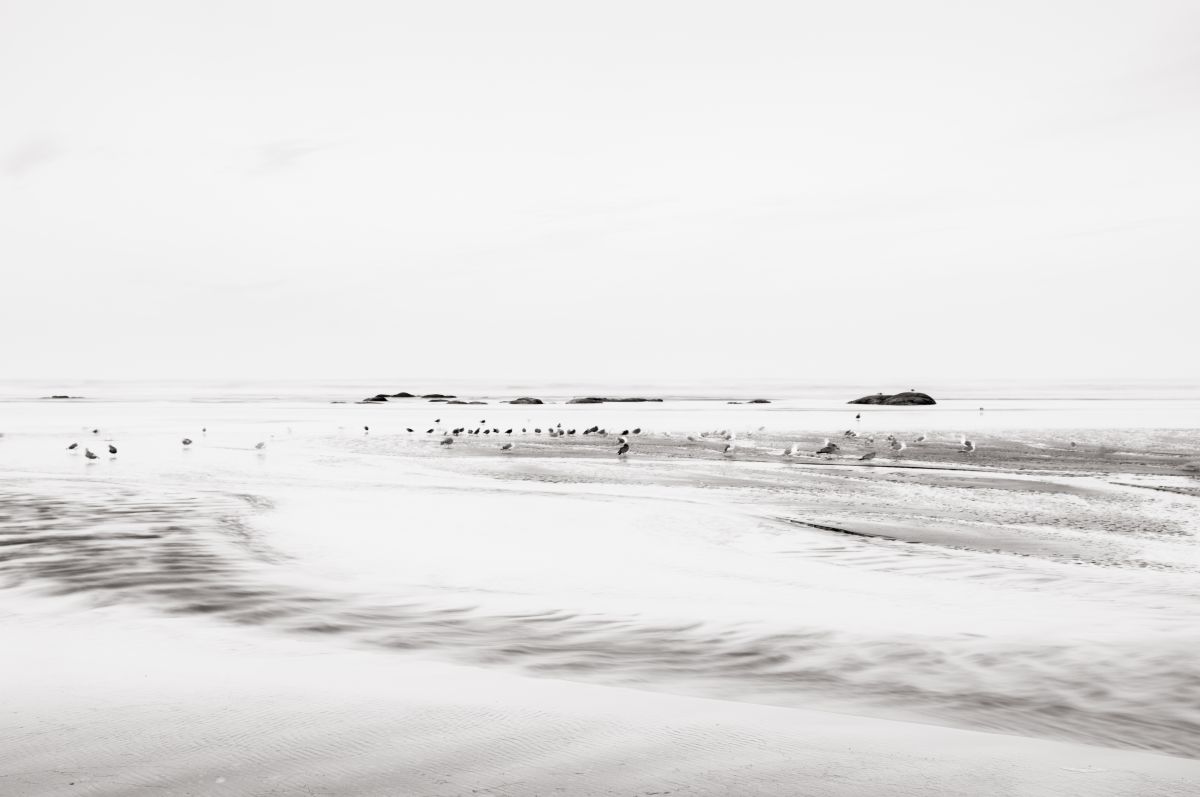 Pacific Ocean | GANREF