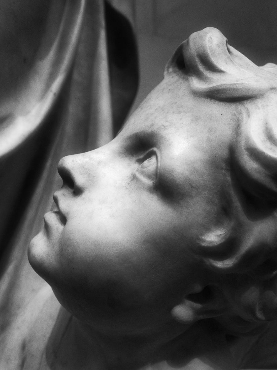 Life-National Gallery of Art | GANREF