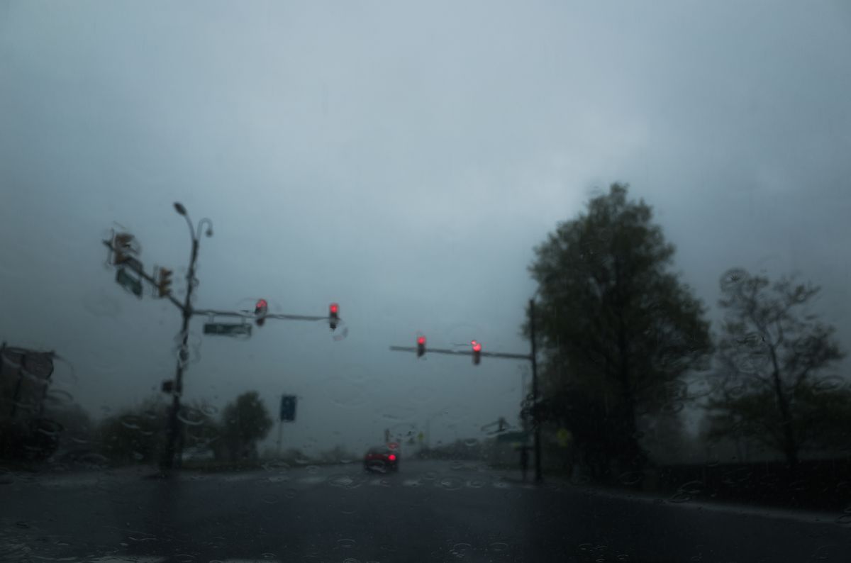 Spring Rain | GANREF