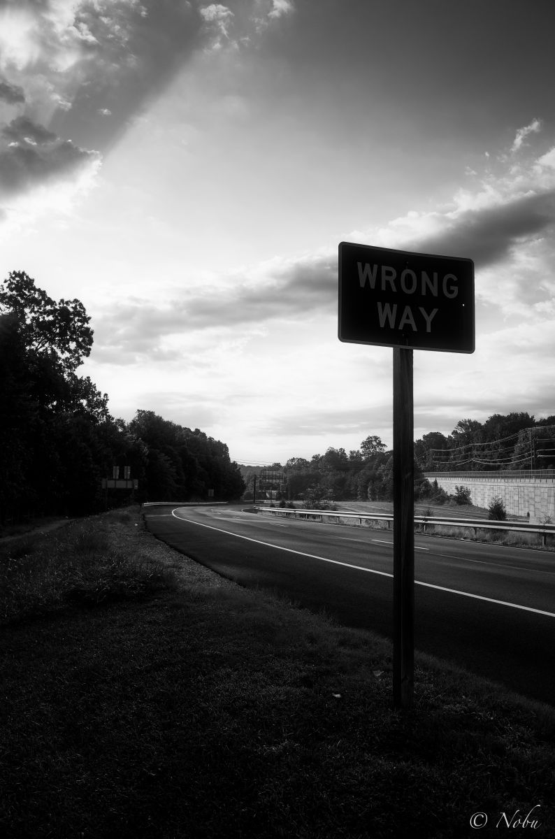 Wrong Way 1 | GANREF