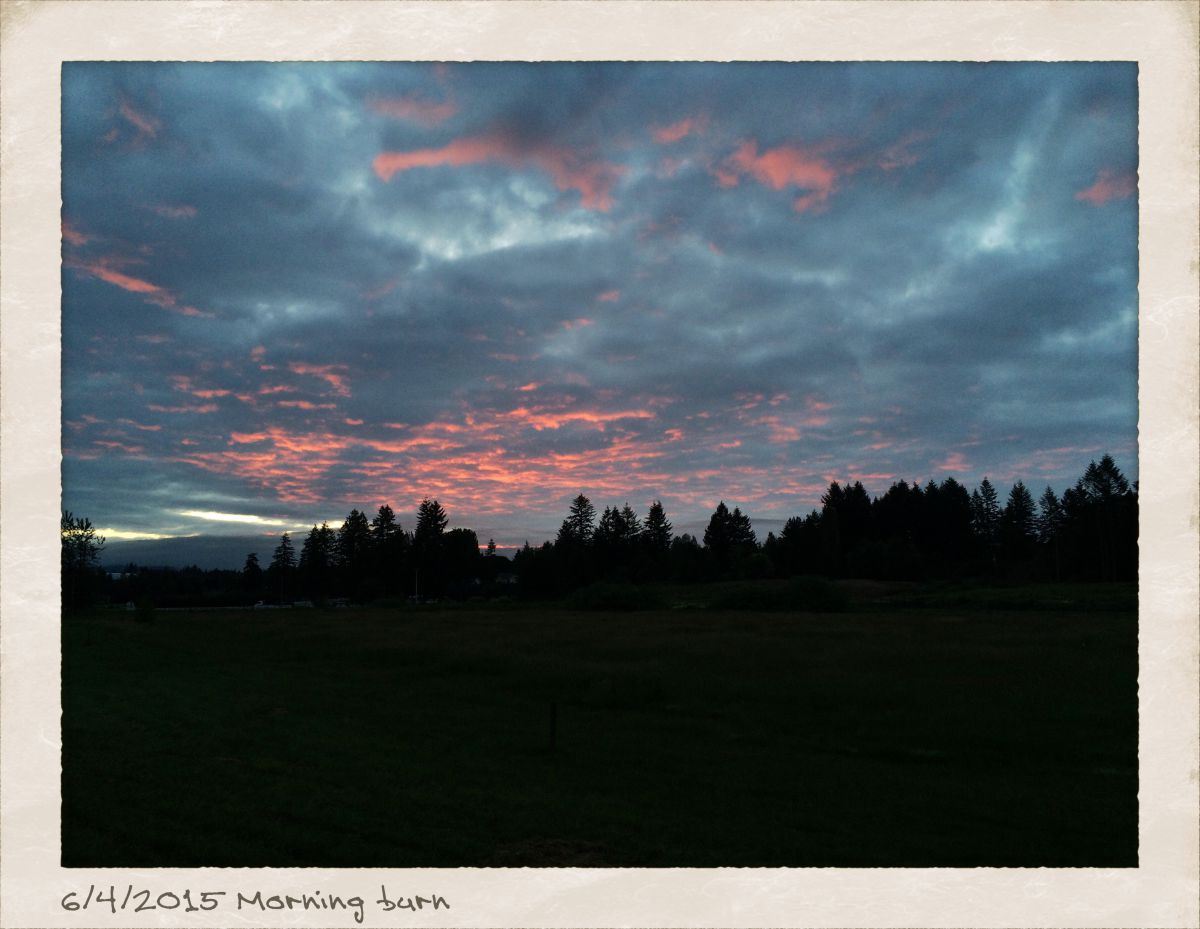 Morning Burn | GANREF