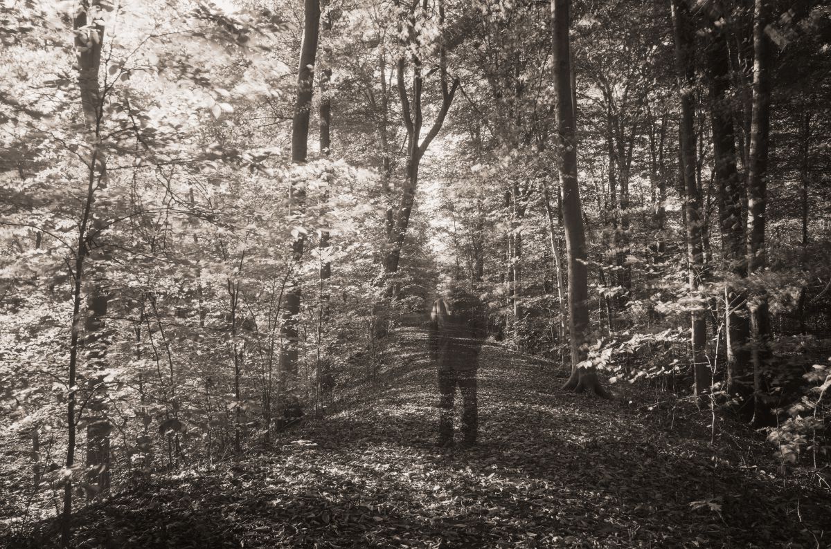 Self-portrait2013Fall | GANREF