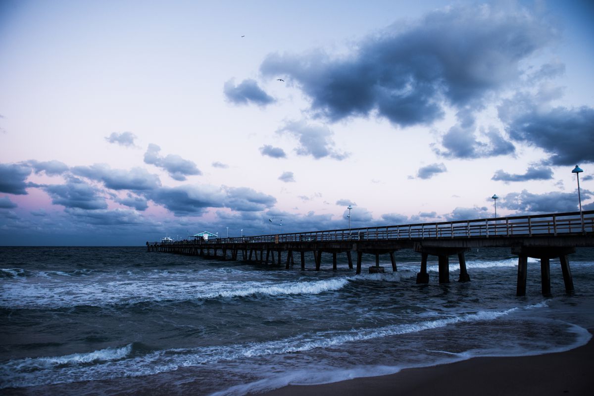 Blue in the wind | GANREF