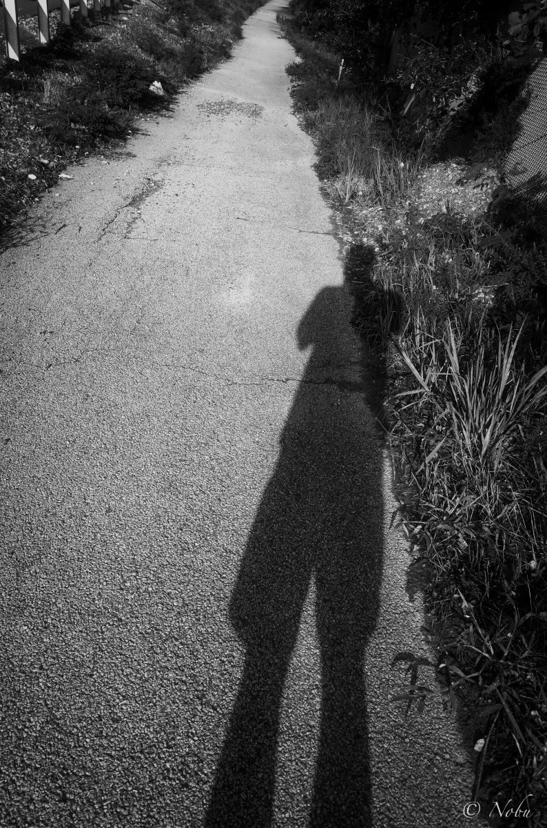 Wrong Way 7 | GANREF