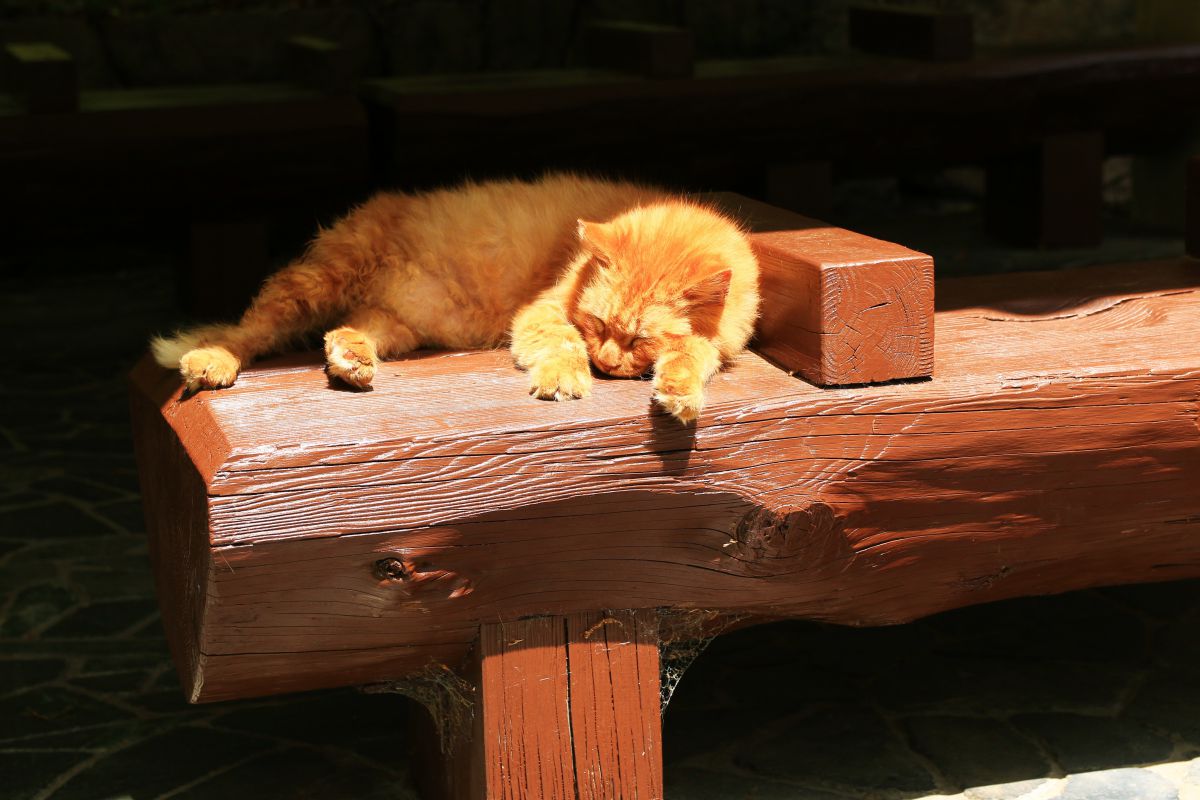 Please do not disturb ! | GANREF