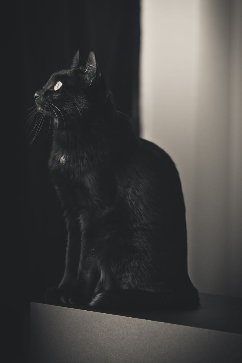 Lucien d'observer | GANREF