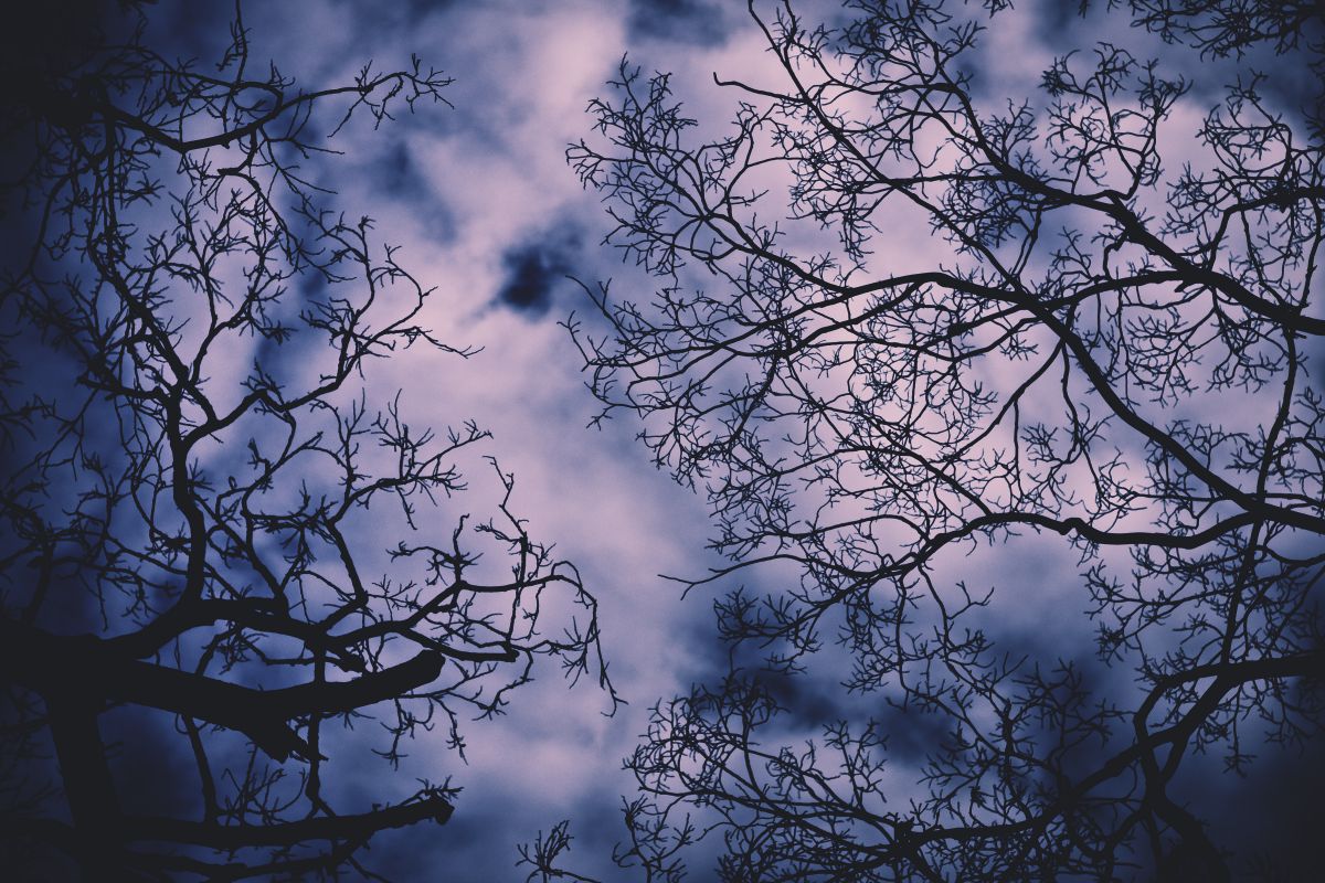 Début de la fin | GANREF