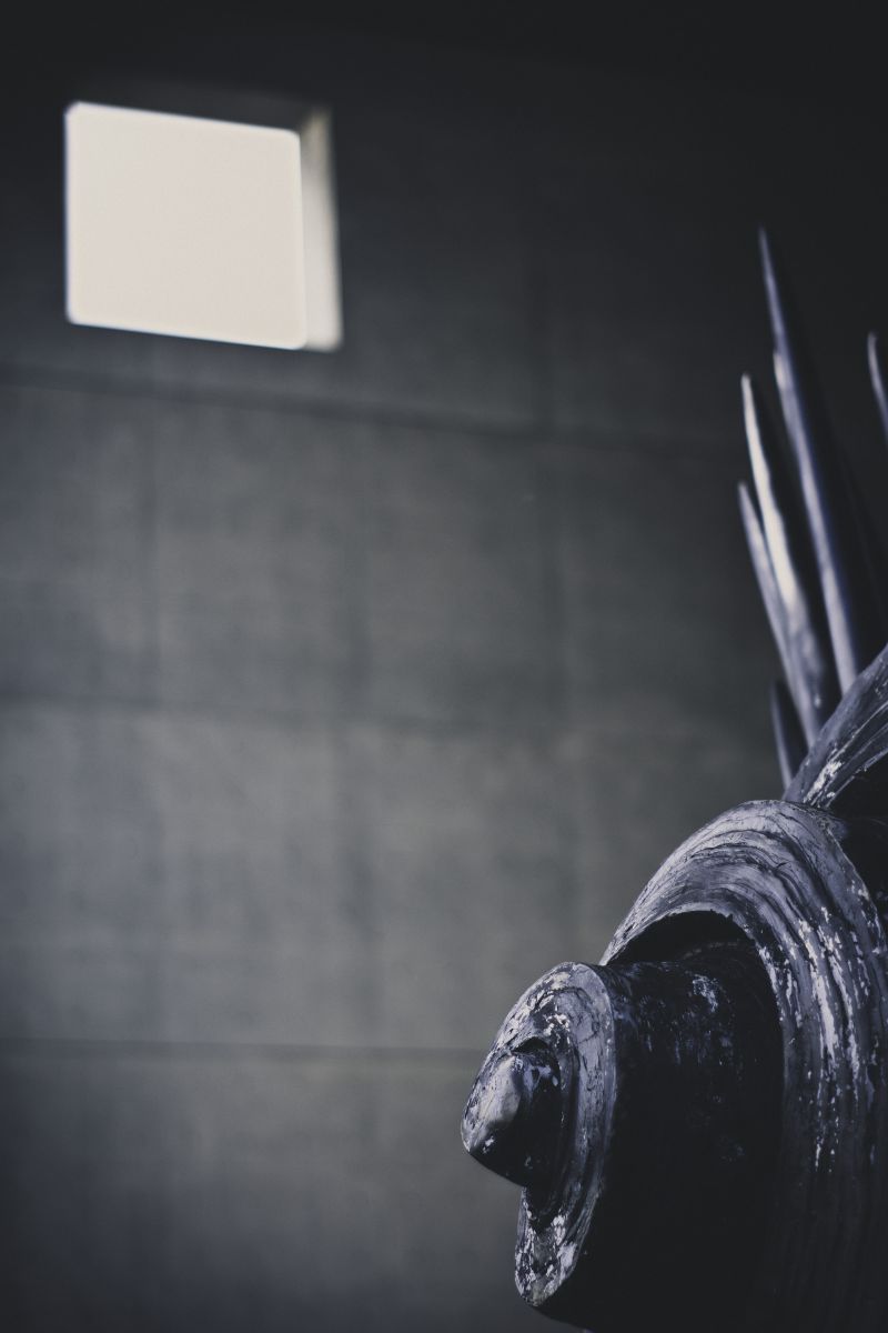 mimoca lights | GANREF