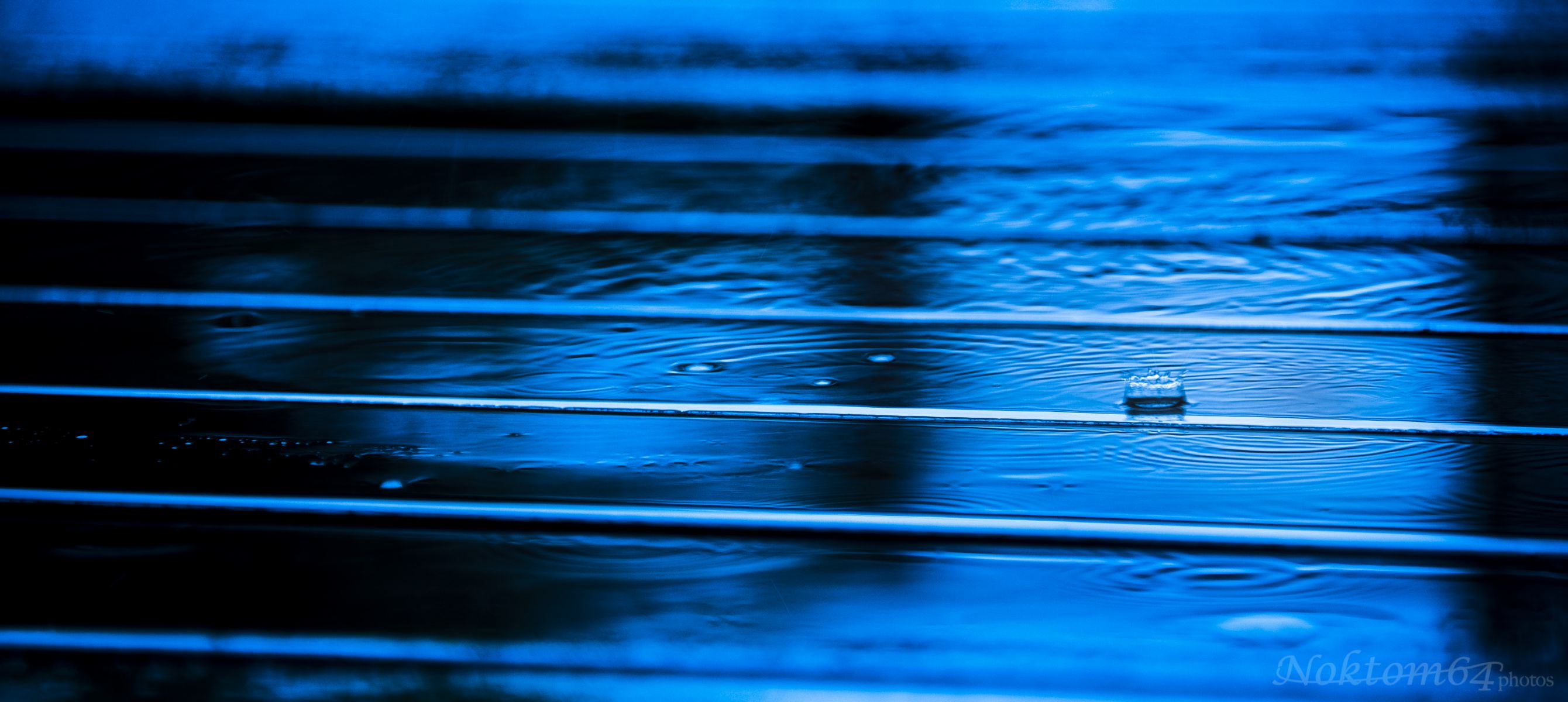 Crown on the deck | GANREF