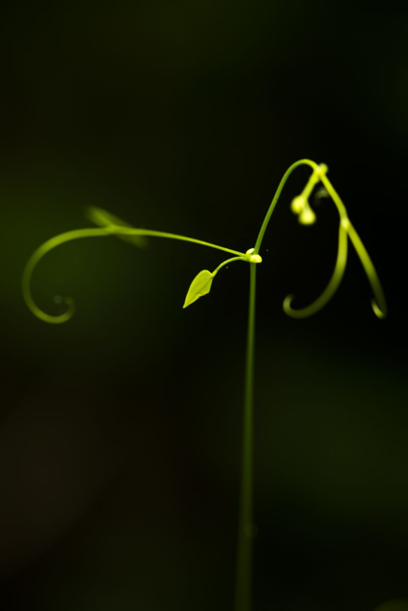 static balance | GANREF