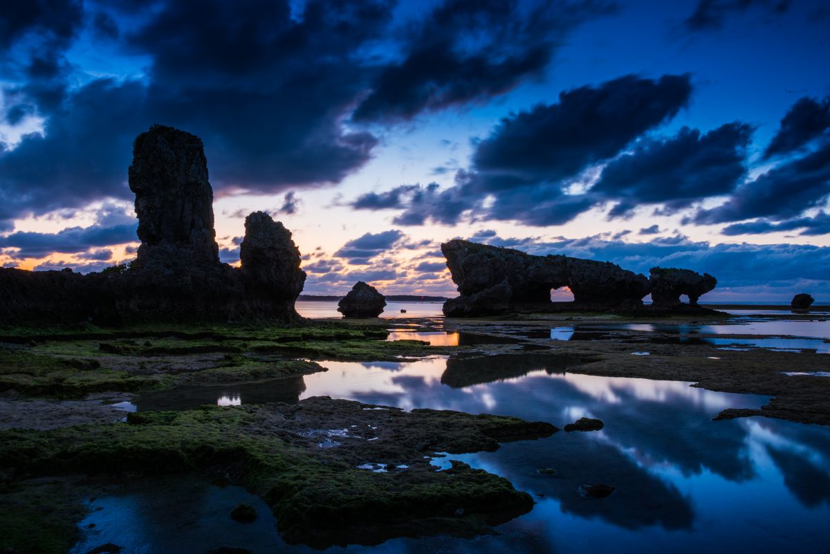 Piggy Rockと仲間たちの行進 | GANREF