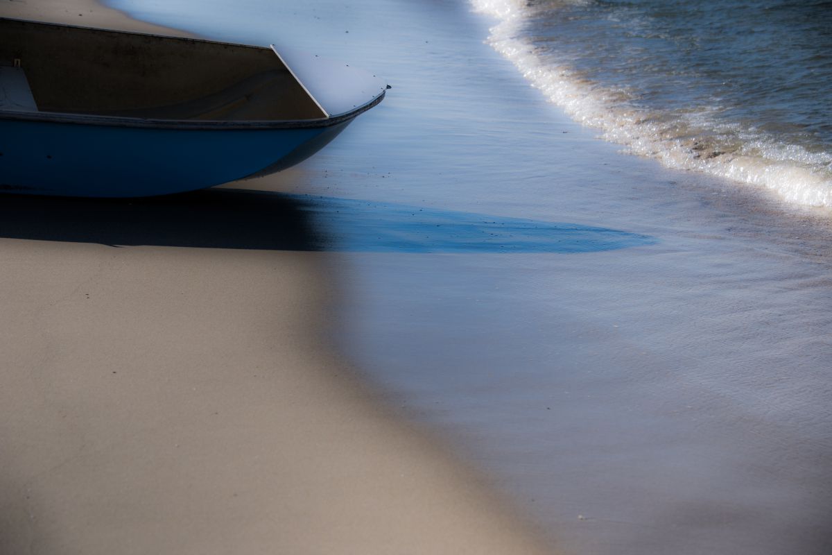 memory of the summer | GANREF