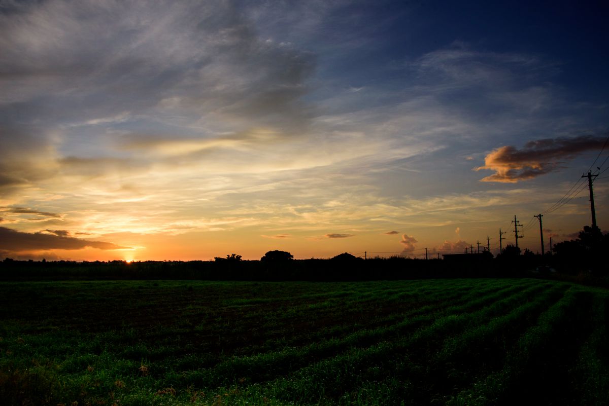 daybreak #3 | GANREF