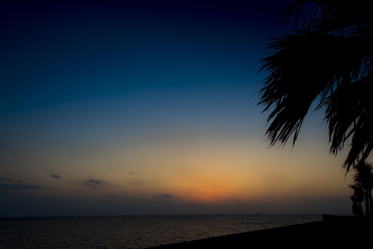 mellow sunset | GANREF