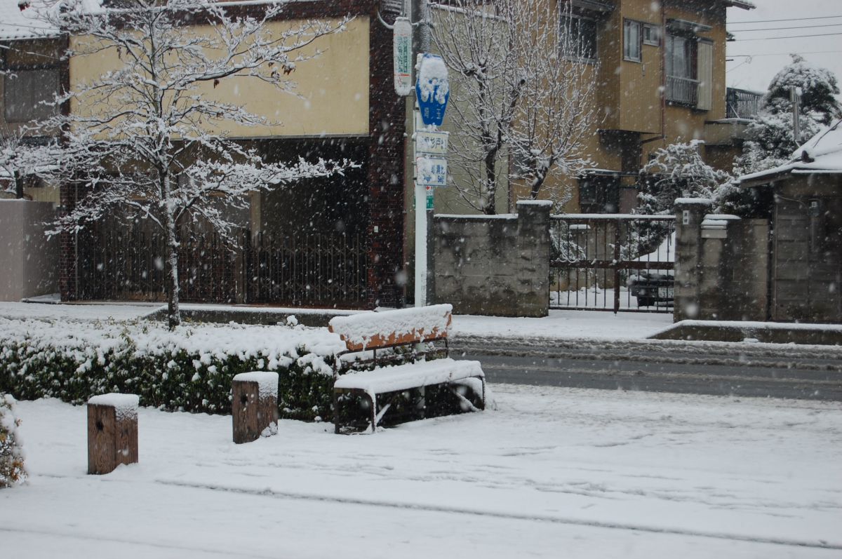 SNOW SUNDAY | GANREF