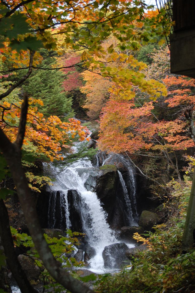 Autumn colors of Nikko (JAPAN) | GANREF