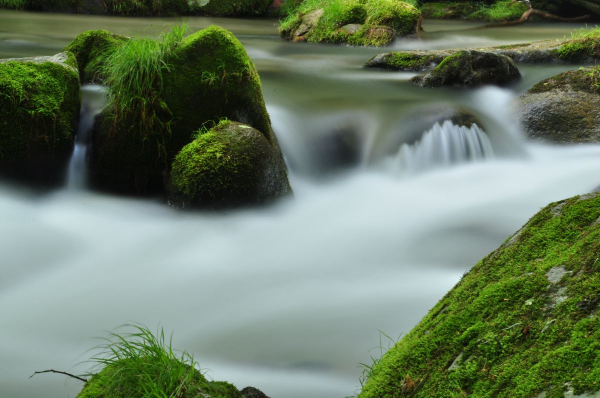 清々しく | GANREF