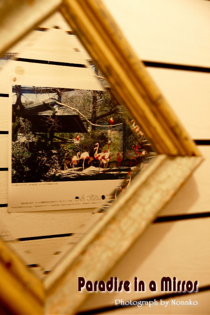 Paradise in a Mirror | GANREF