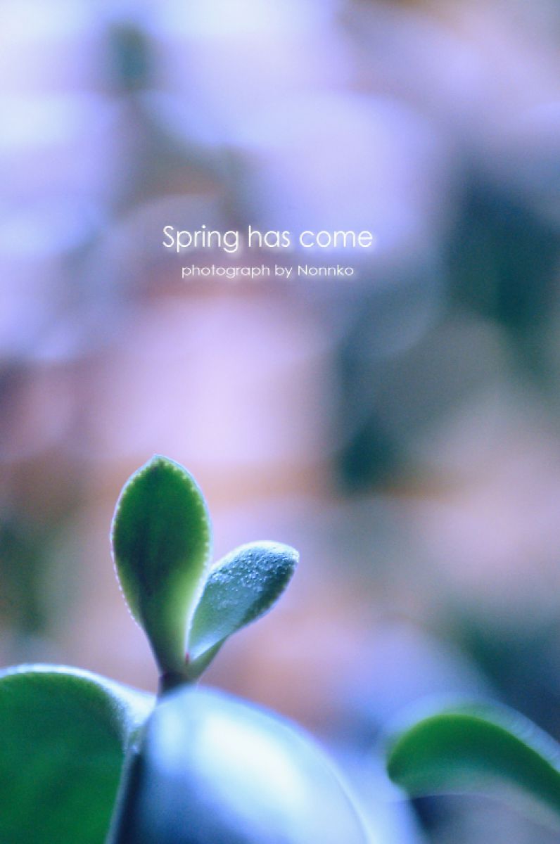 Spring has come | GANREF